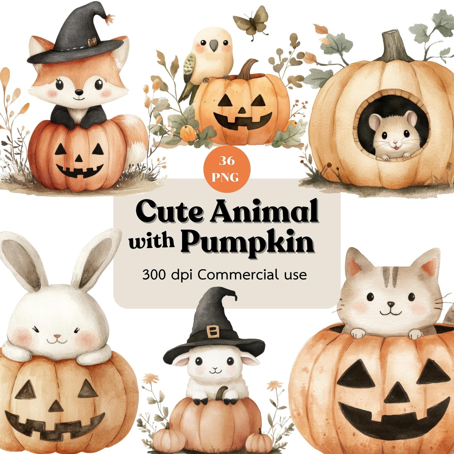 Halloween Animals in Pumpkin Clipart, Pumpkin Clipart, Cute Halloween ...