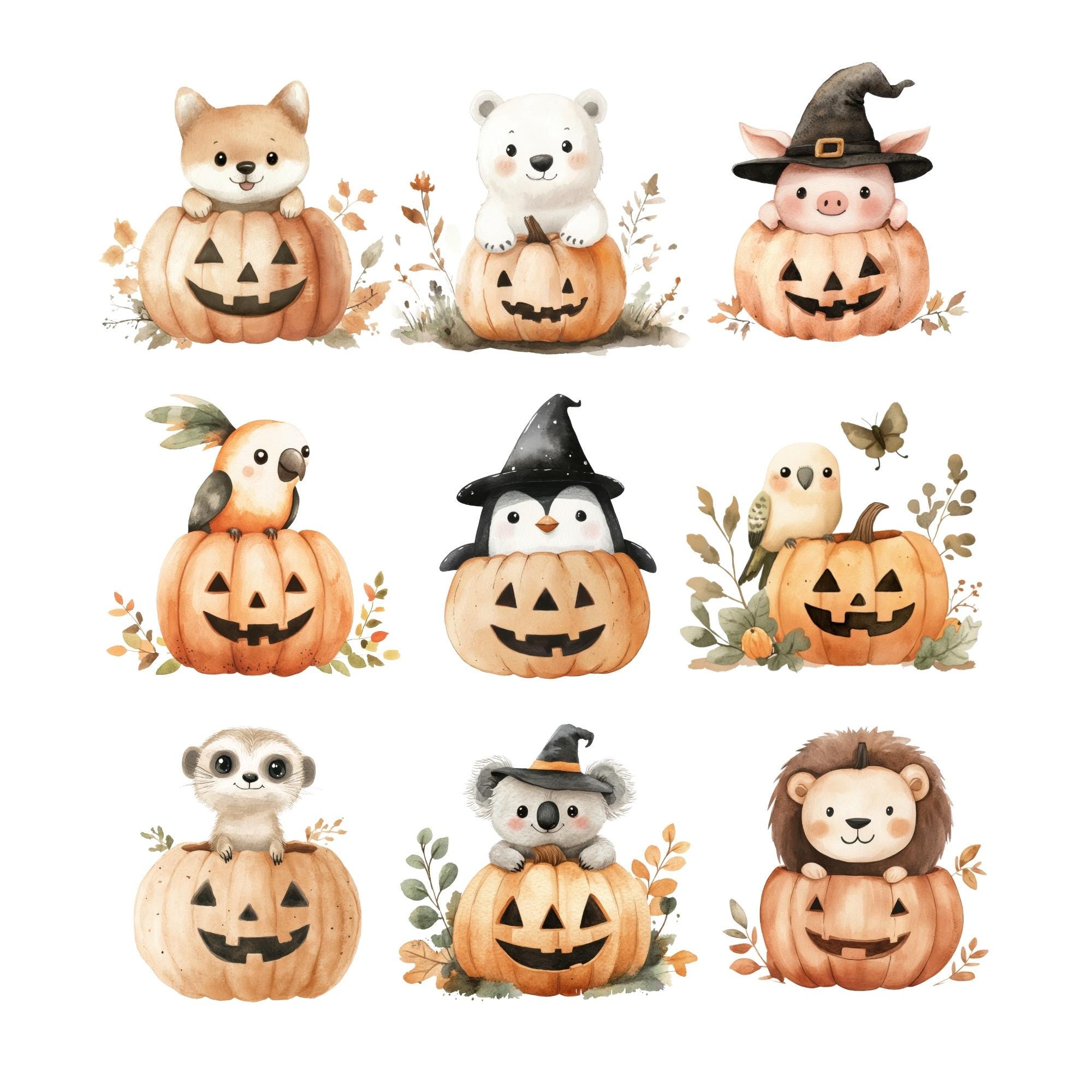 Halloween Animals in Pumpkin Clipart, Pumpkin Clipart, Cute Halloween ...