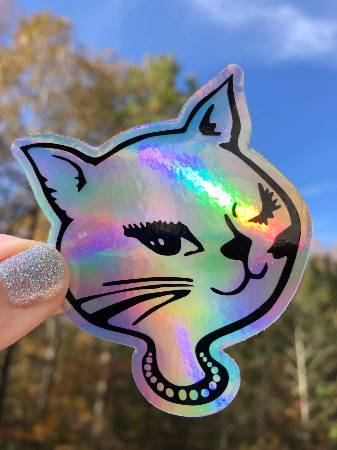Holographic Winking Cat Sticker Reflective Rainbow Black Outline - Etsy
