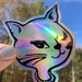Holographic Winking Cat Sticker Reflective Rainbow Black Outline - Etsy