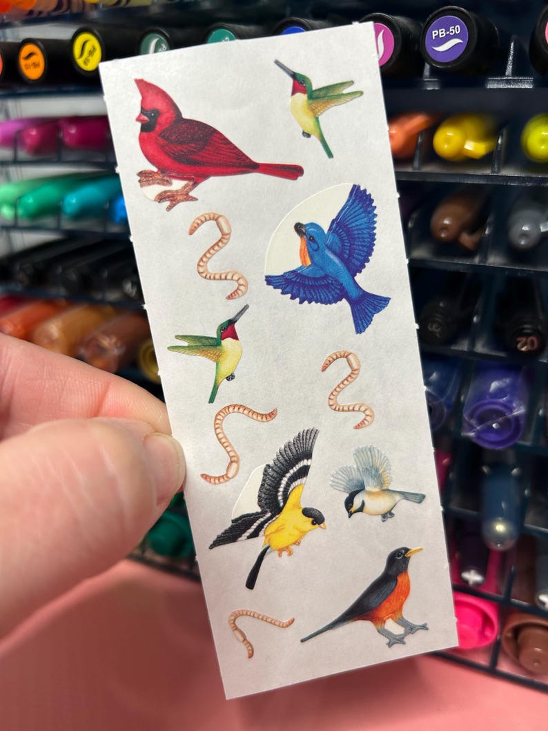 Vintage Bird Cardinal Robin Hummingbird Worm Stickers - Etsy