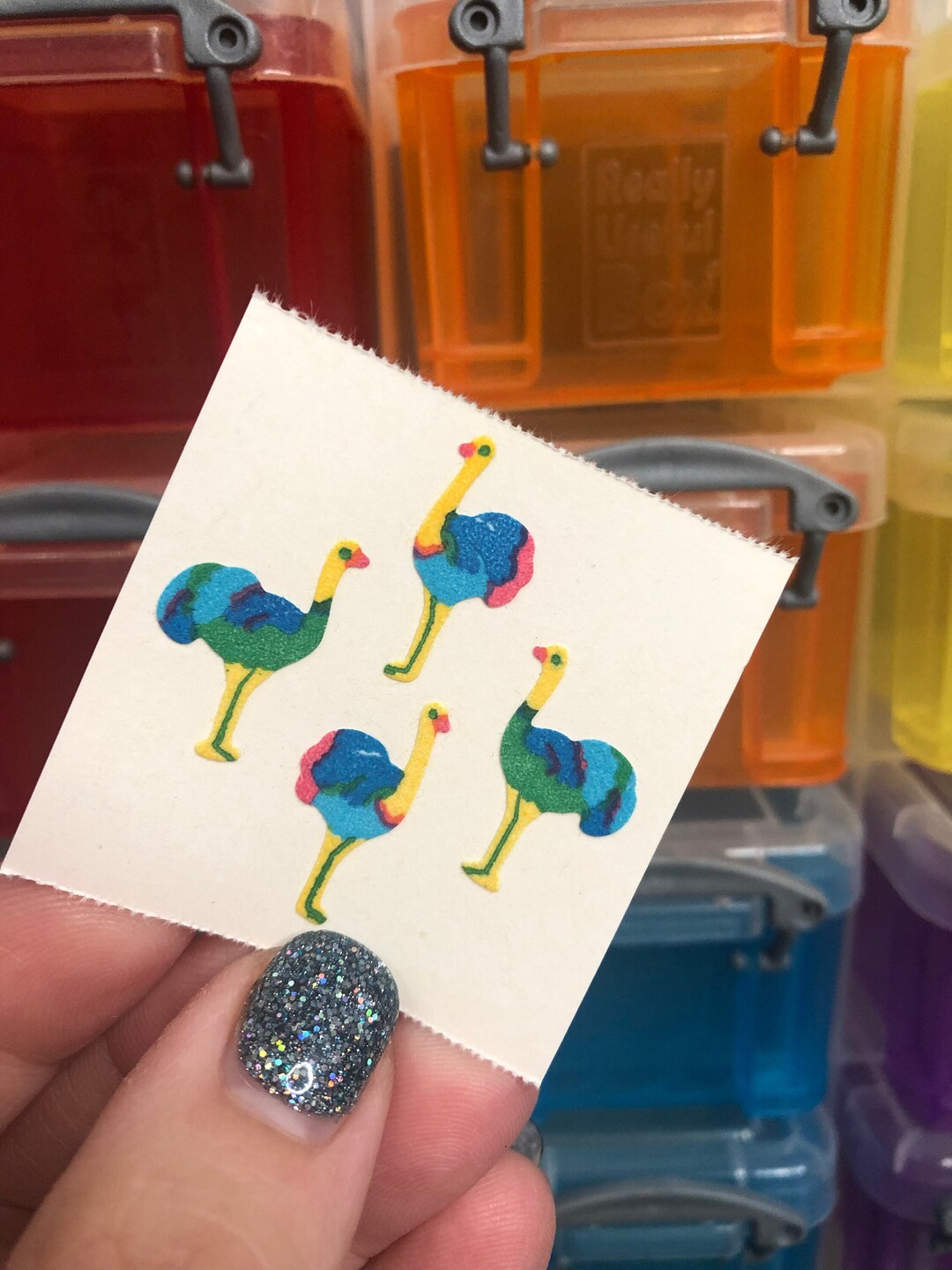 Vintage Fuzzy Ostrich Emu Stickers Great 7 Seven - Etsy