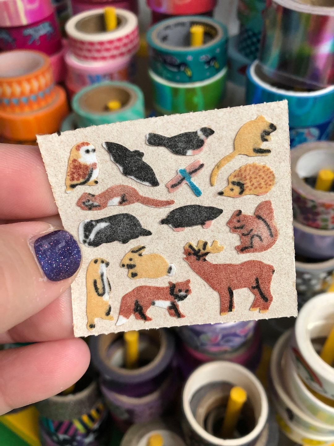 Vintage Fuzzy Nature Wildlife Forest Animal Stickers - Etsy