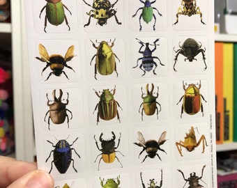 Bug Stickers - Etsy