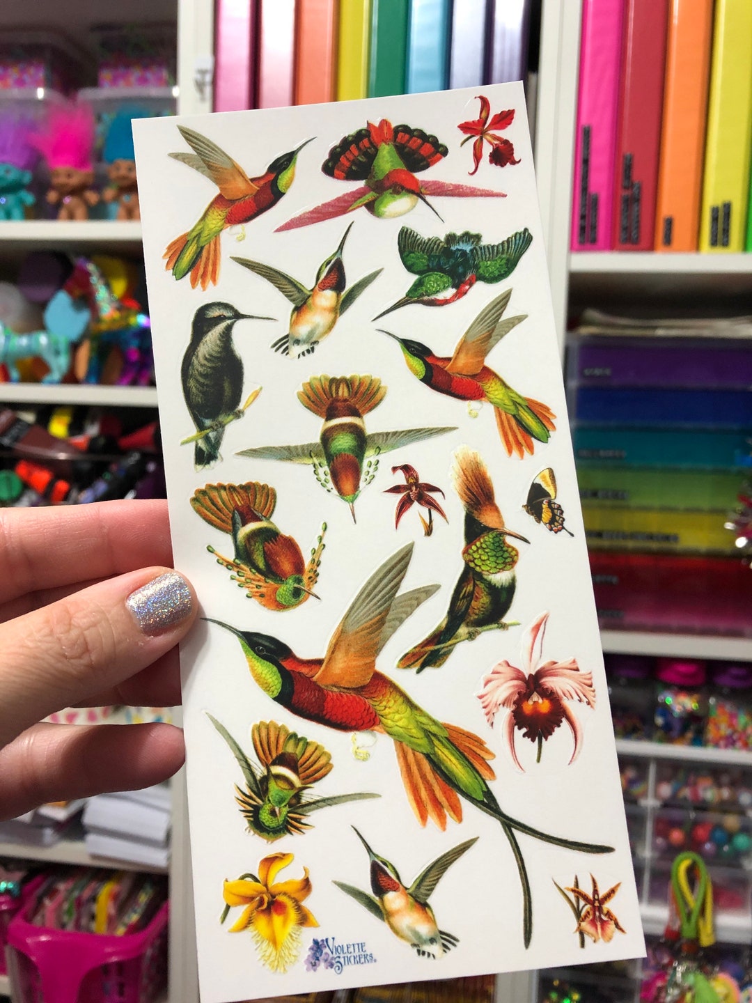 Hummingbird Stickers Sheet - Etsy
