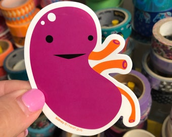 Kidney Sticker - Etsy