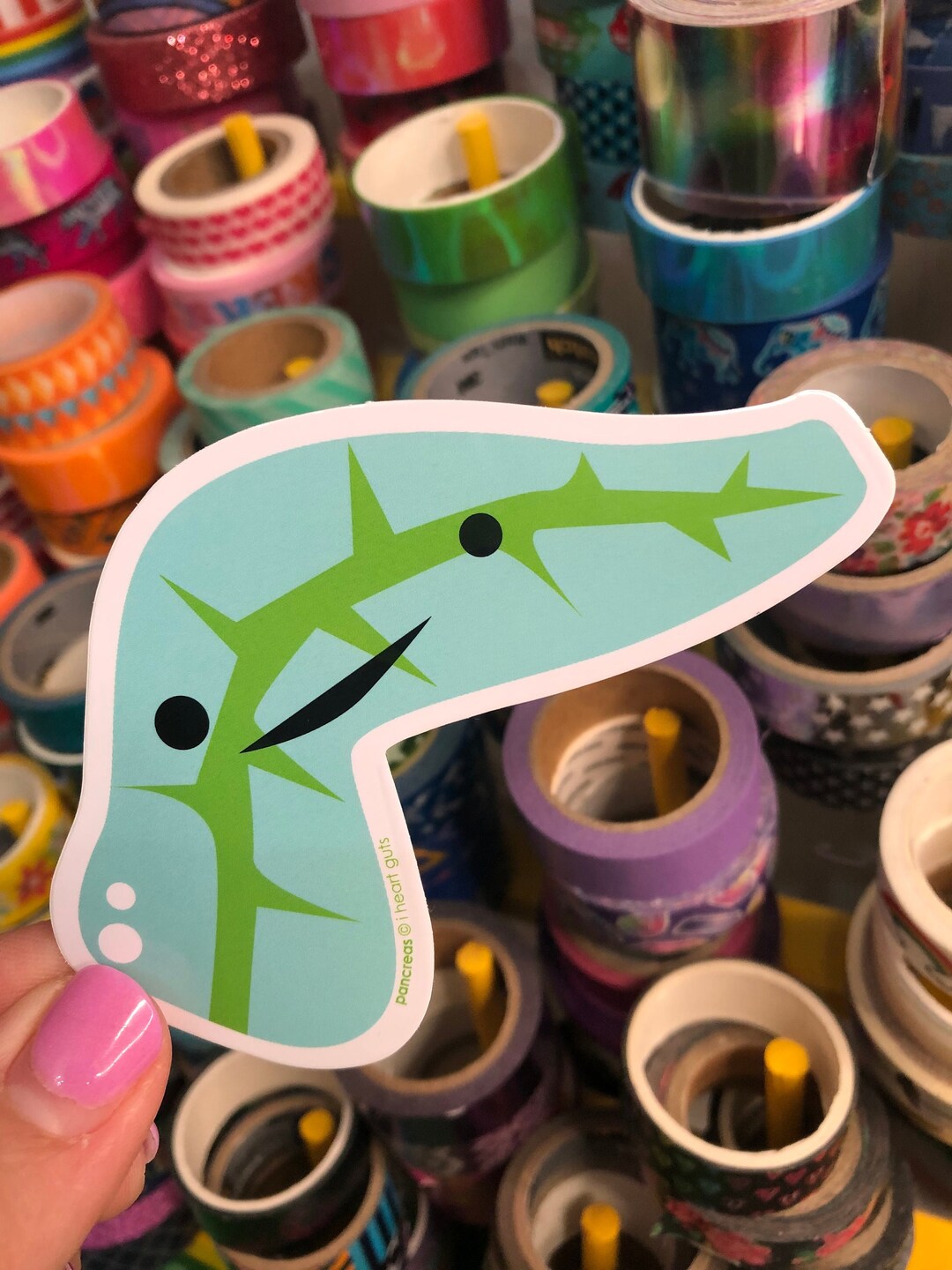 Pancreas Sticker - Waterproof - Etsy
