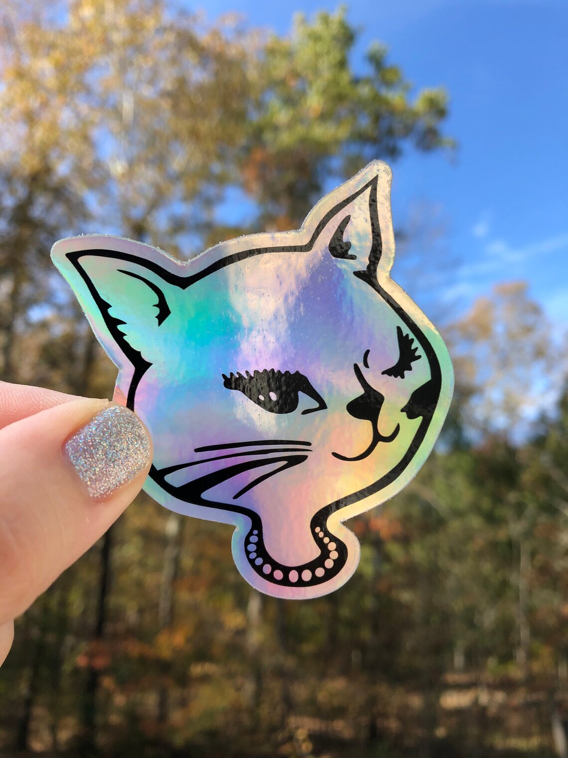 Holographic Winking Cat Sticker Reflective Rainbow Black Outline - Etsy