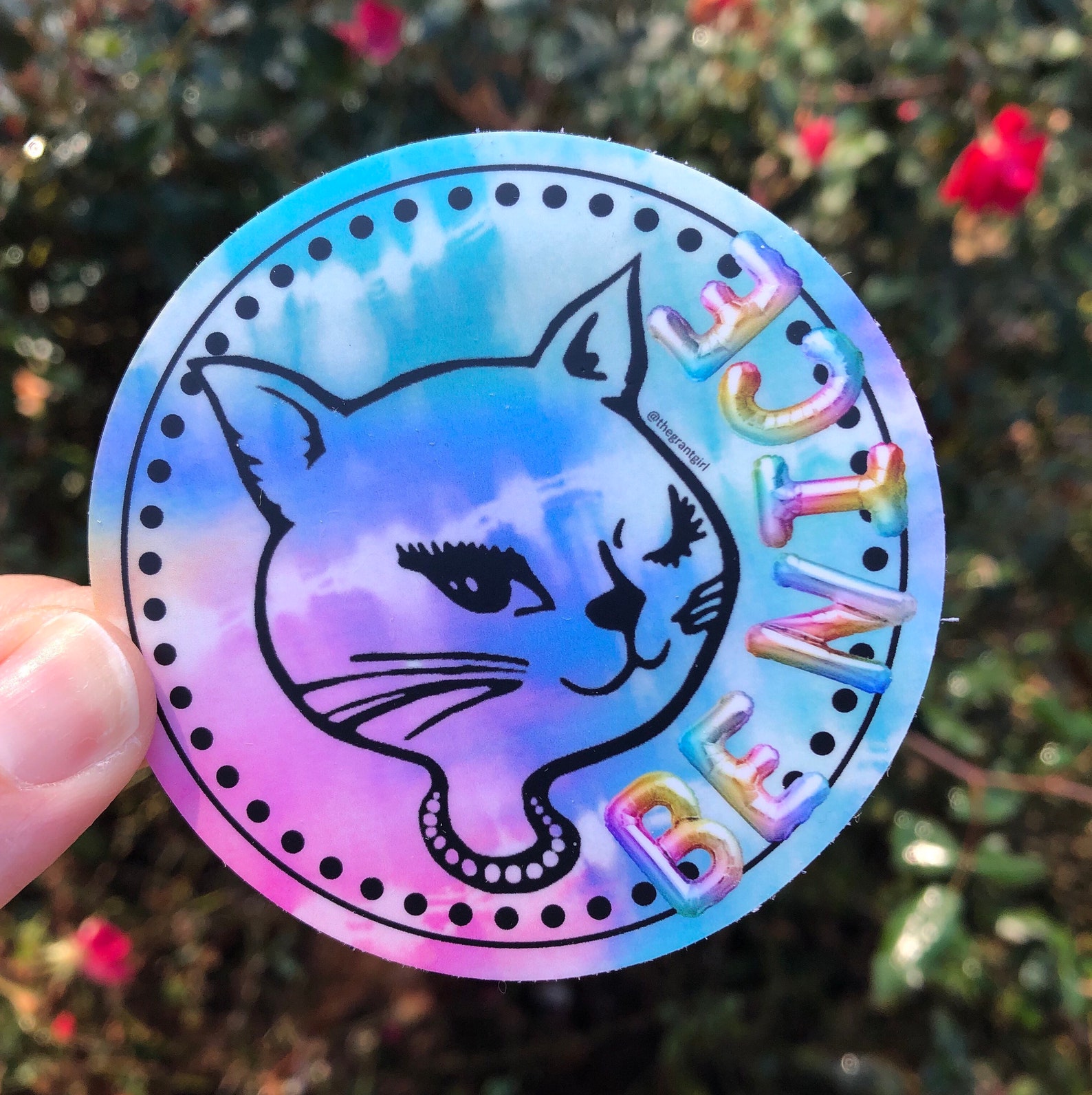 Be Nice Winking Cat Sticker VSCO Water Bottle Decal - Etsy