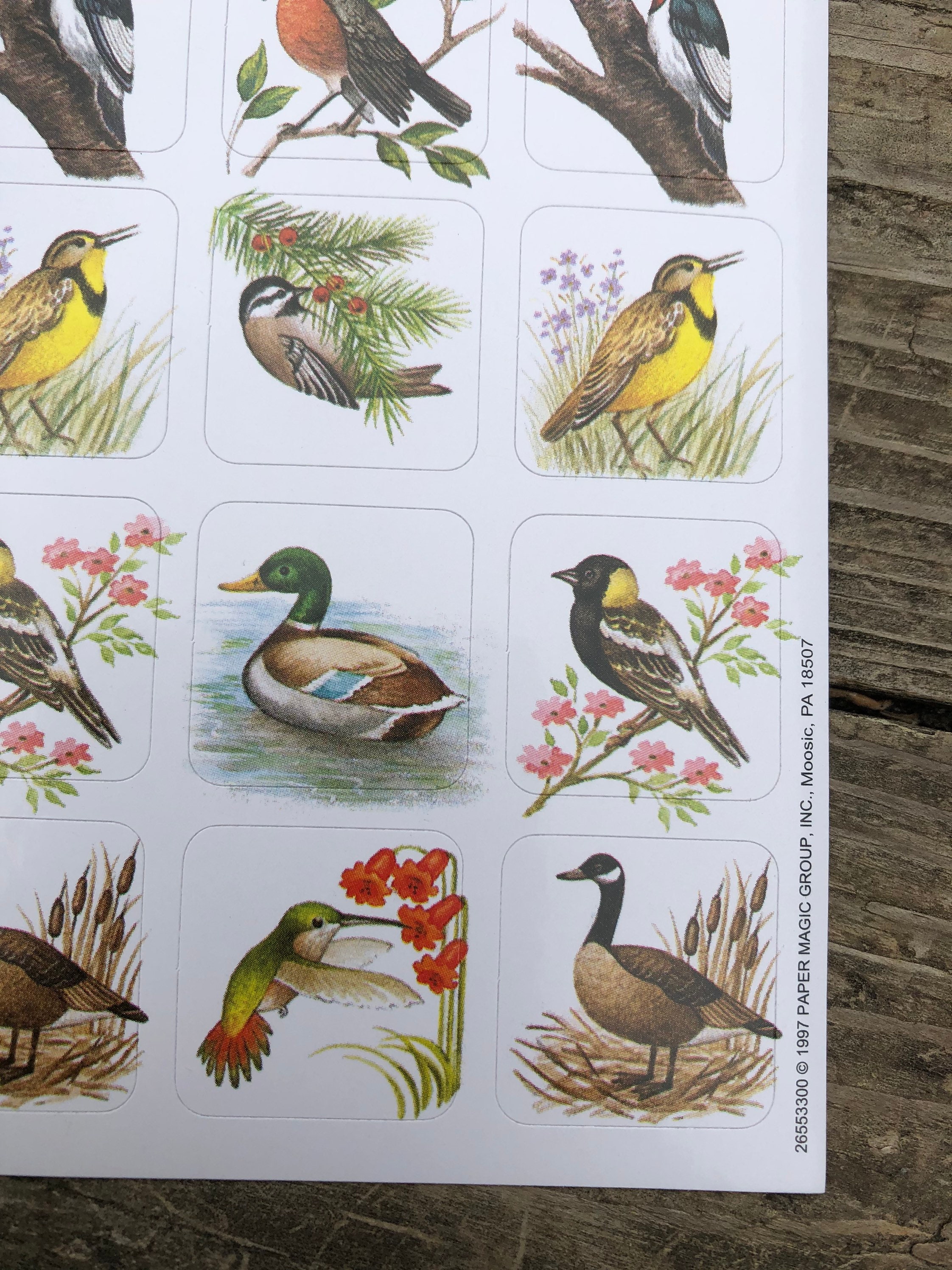 Full Sheet of Vintage Bird Stickers Cardinal Blue Jay Robin Duck Finch ...