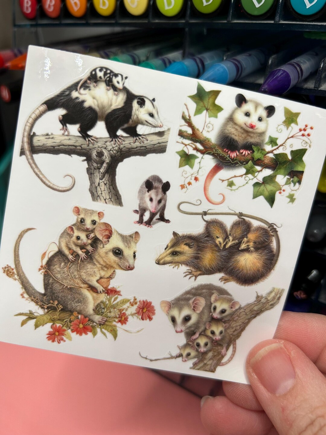 Cute Opossum Possum Stickers Sheet - Etsy