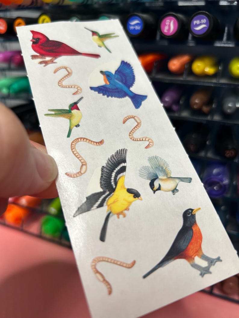 Vintage Bird Cardinal Robin Hummingbird Worm Stickers - Etsy