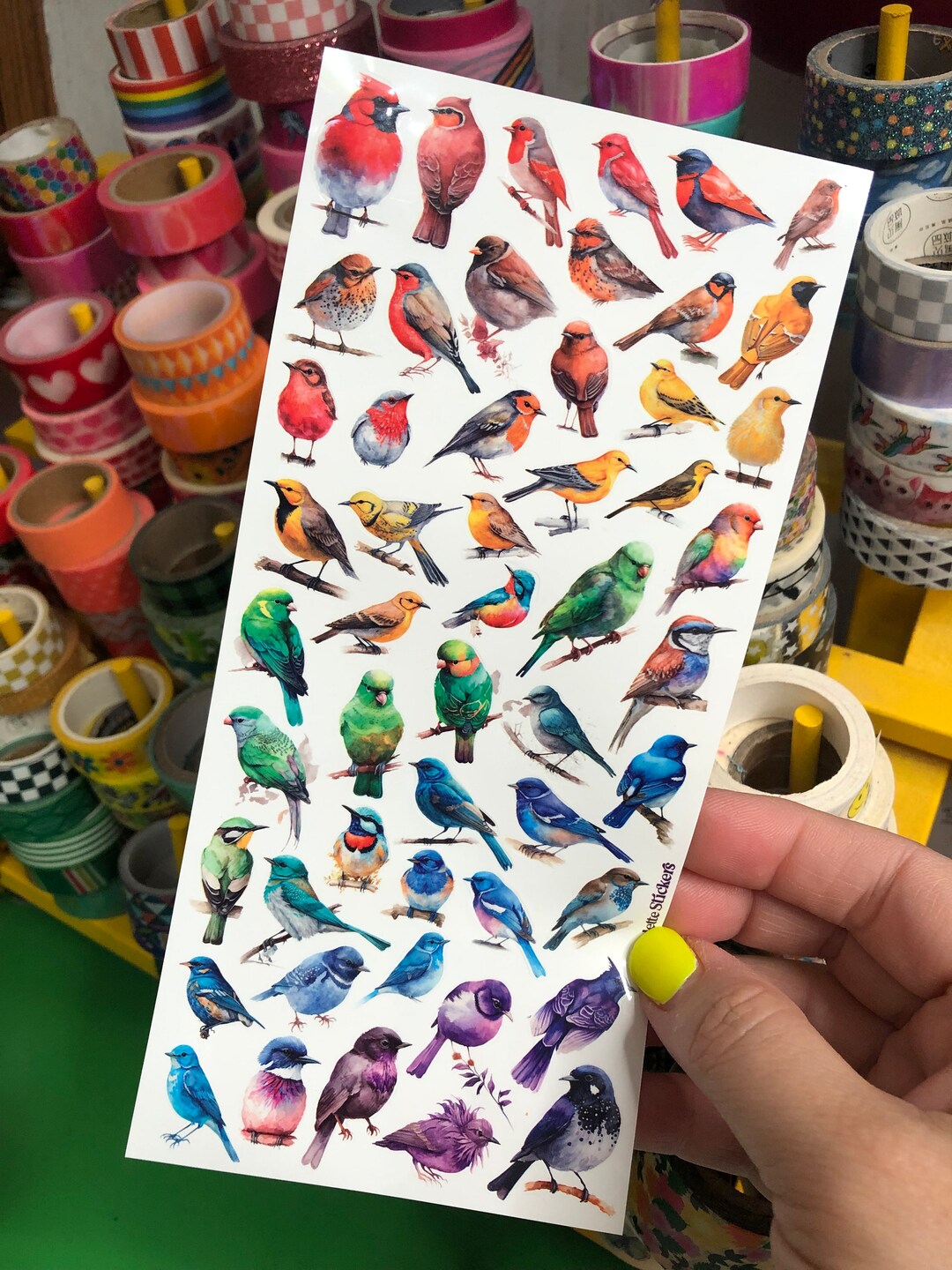 Full Sheet of Rainbow Bird Stickers - Etsy