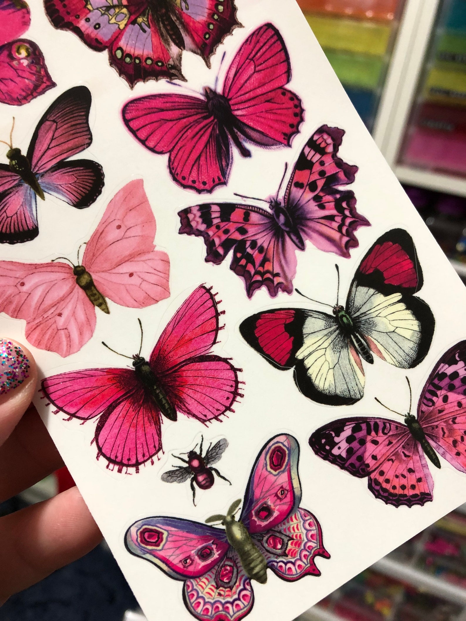Pink Butterfly Moth Stickers Sheet | Etsy