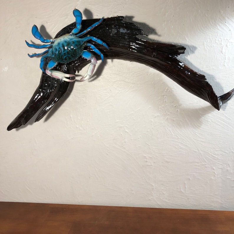 Taxidermy Blue Crab on Driftwood Wall Hanging Mount 25" X 15" - Etsy