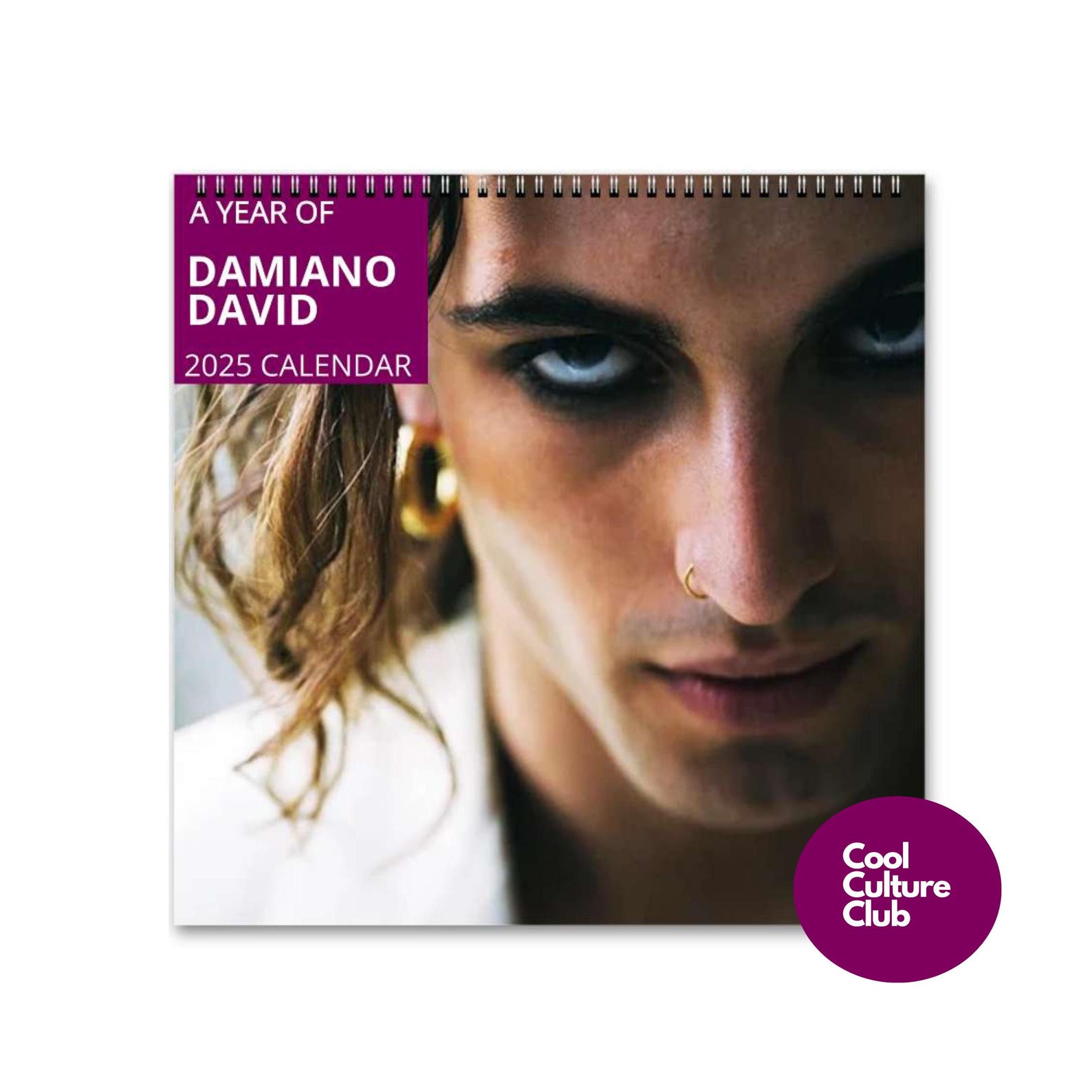 Damiano David Calendar Vol.1 2025 Calendar, Wall Calendar 2025, Planner ...