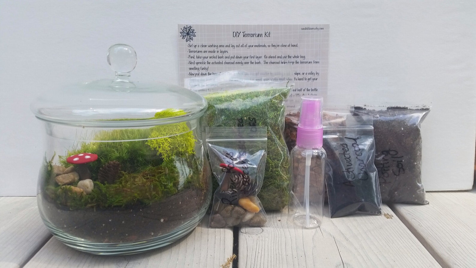THE Kit DIY Terrarium Kit All You Need is the Container - Etsy