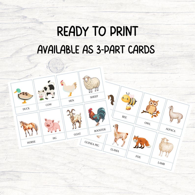 24 Farm Animal Flashcards, Homeschool Printables, Montessori Materials ...