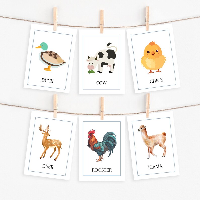 24 Farm Animal Flashcards, Homeschool Printables, Montessori Materials ...