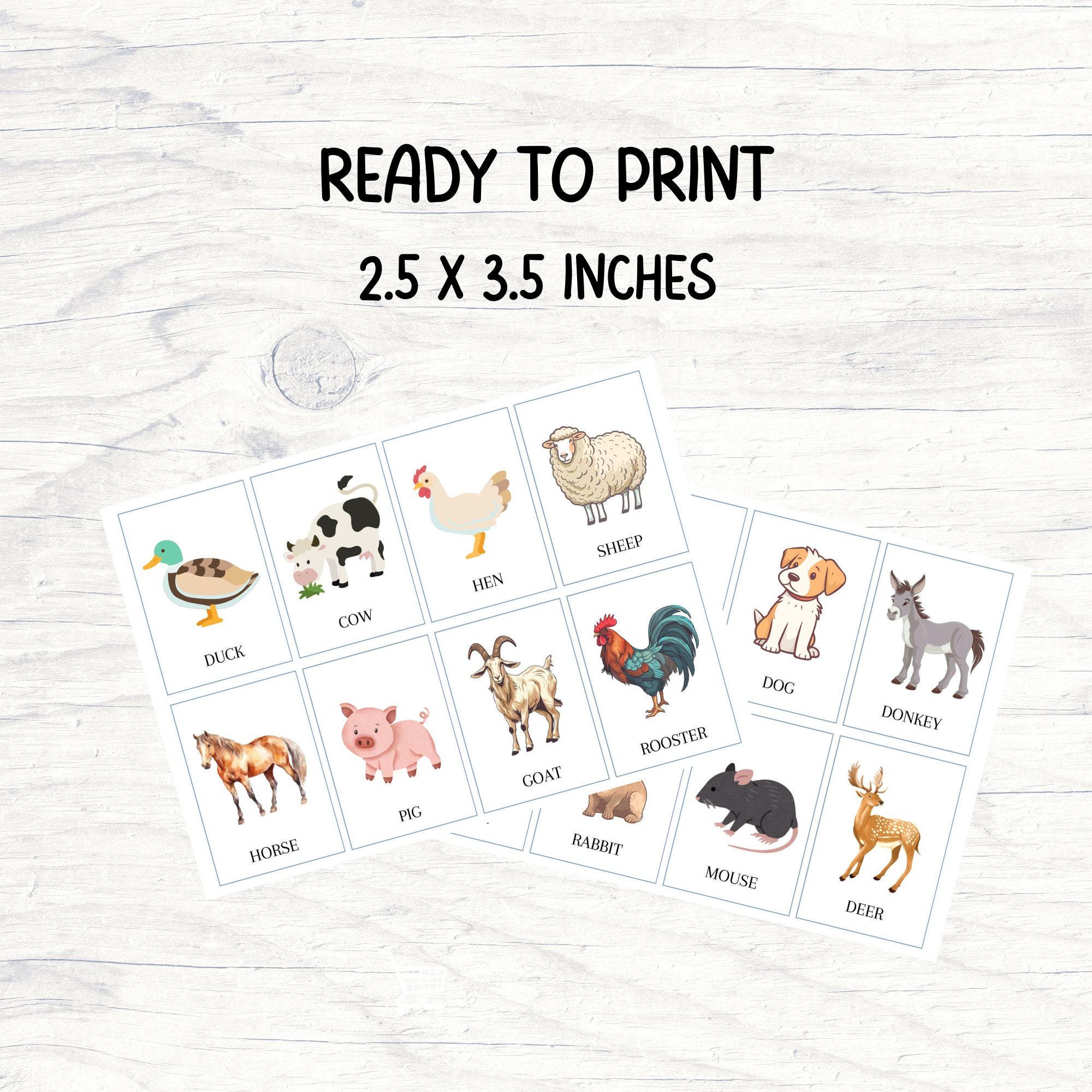24 Farm Animal Flashcards, Homeschool Printables, Montessori Materials ...