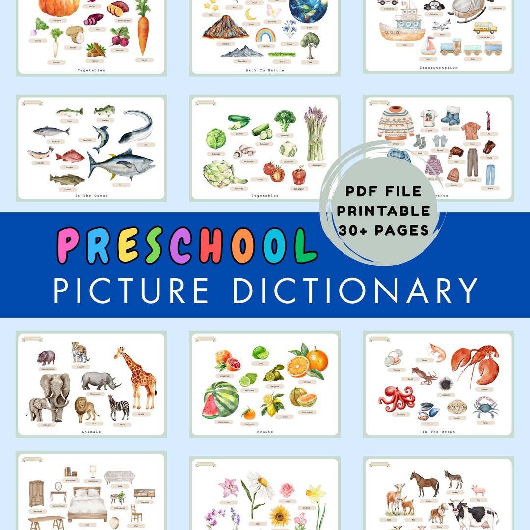 Preschool Picture Dictionary I Printable Pdf File - Etsy
