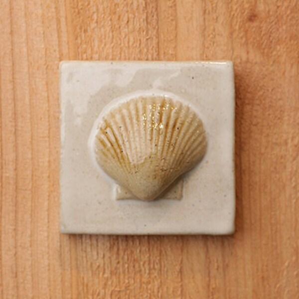 Shell Tile - Etsy