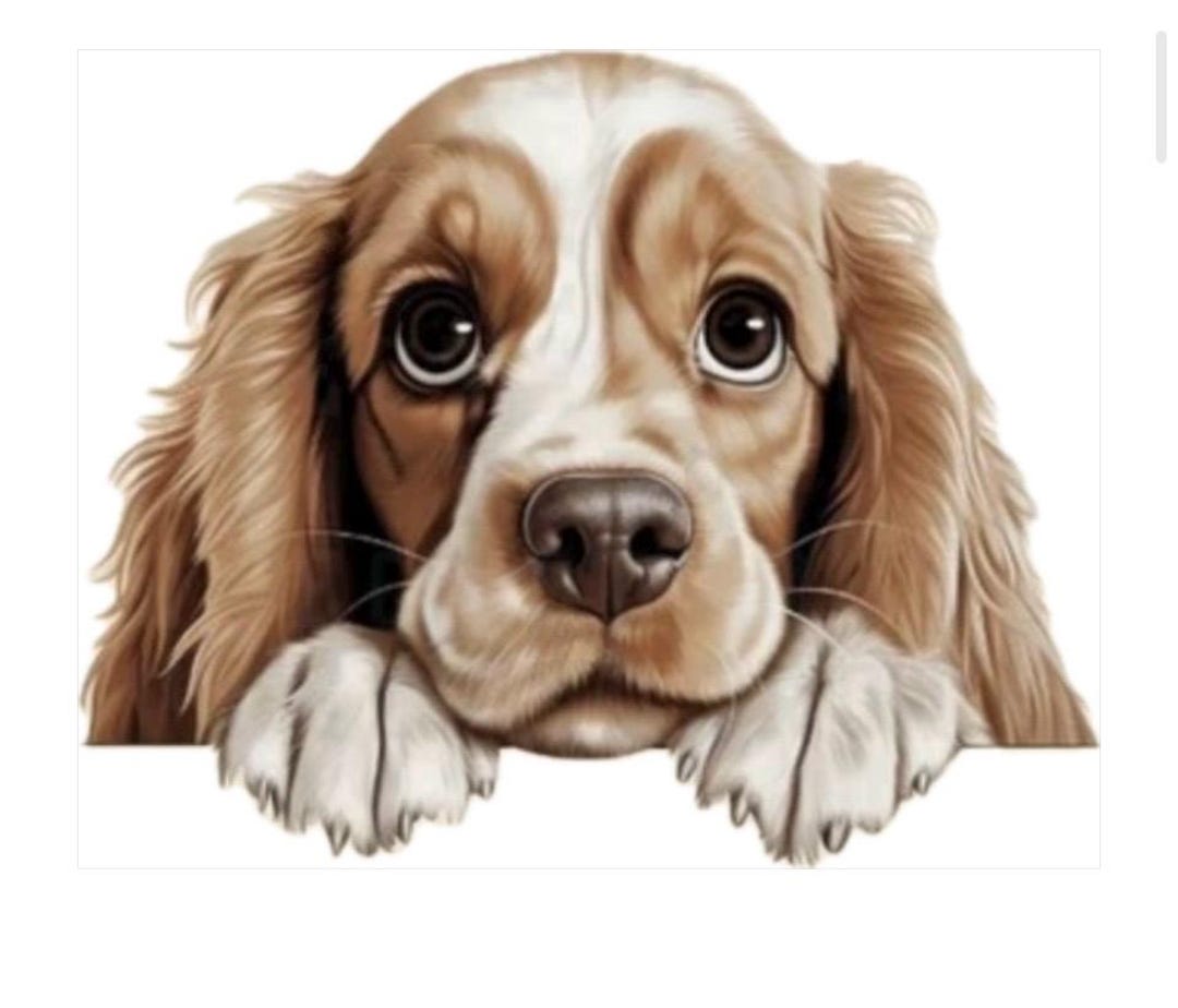 Cocker Spaniel Dog DTF Heat Transfer Vibrant Colors 11” Adult Ready to ...