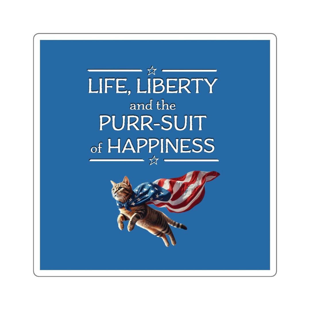 3 Sticker DSH Tabby Cat Cats for Democracy, Childless Cat Ladies ...