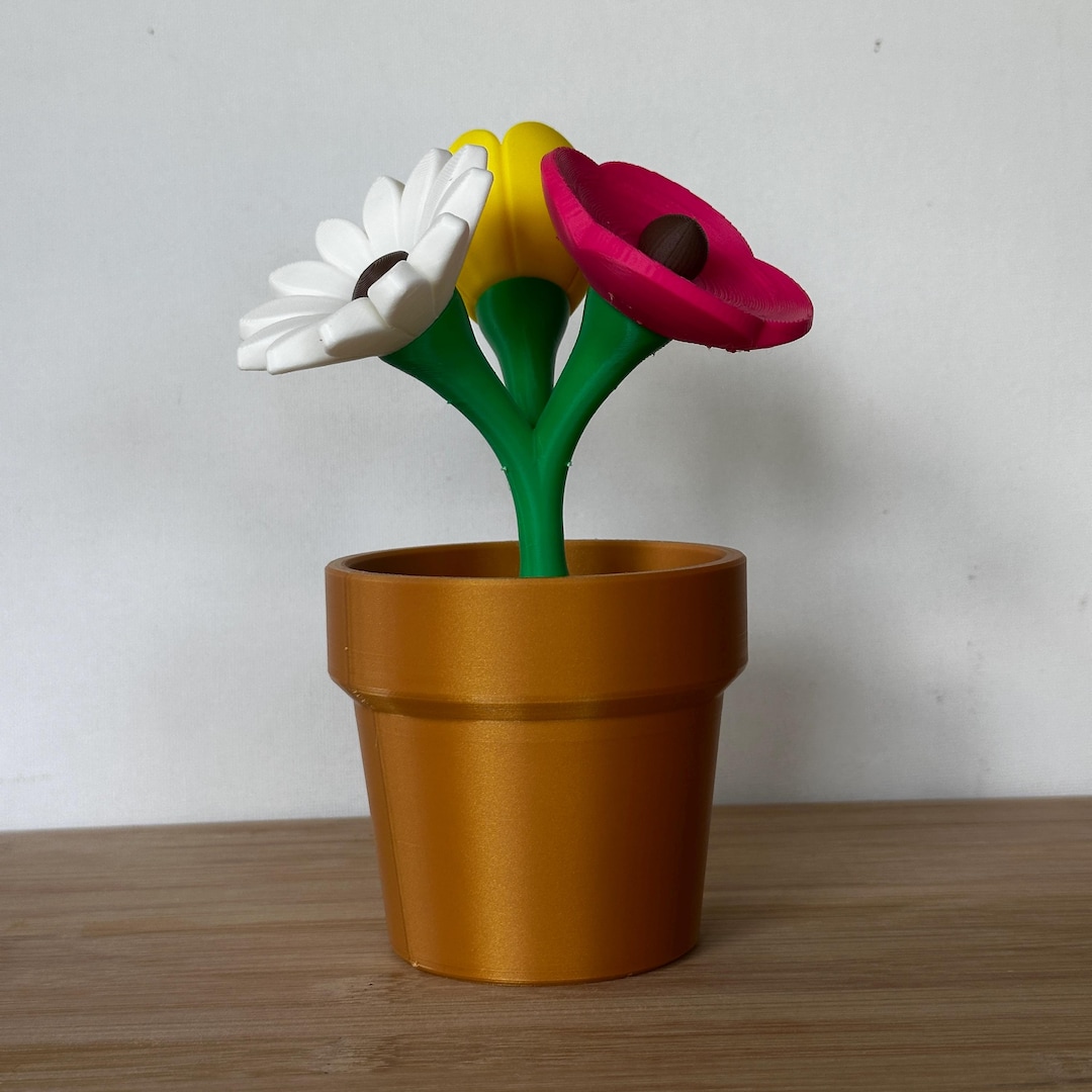 3D Printed Bouncy Flower Bouquet: Customizable Desk Toy - Etsy