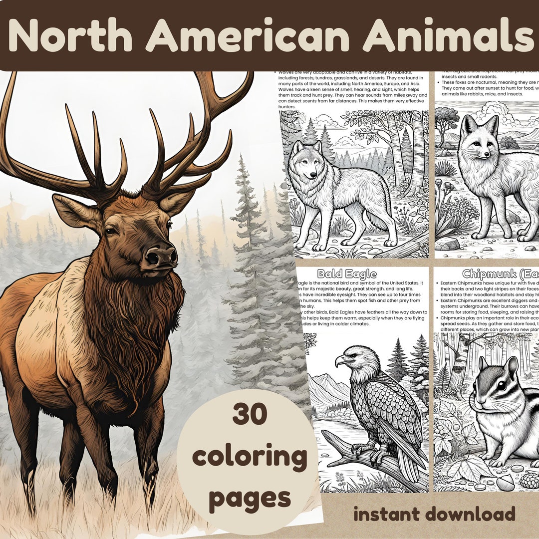 Coloring Book for Kids, North American Animals Printable Coloring Pages ...