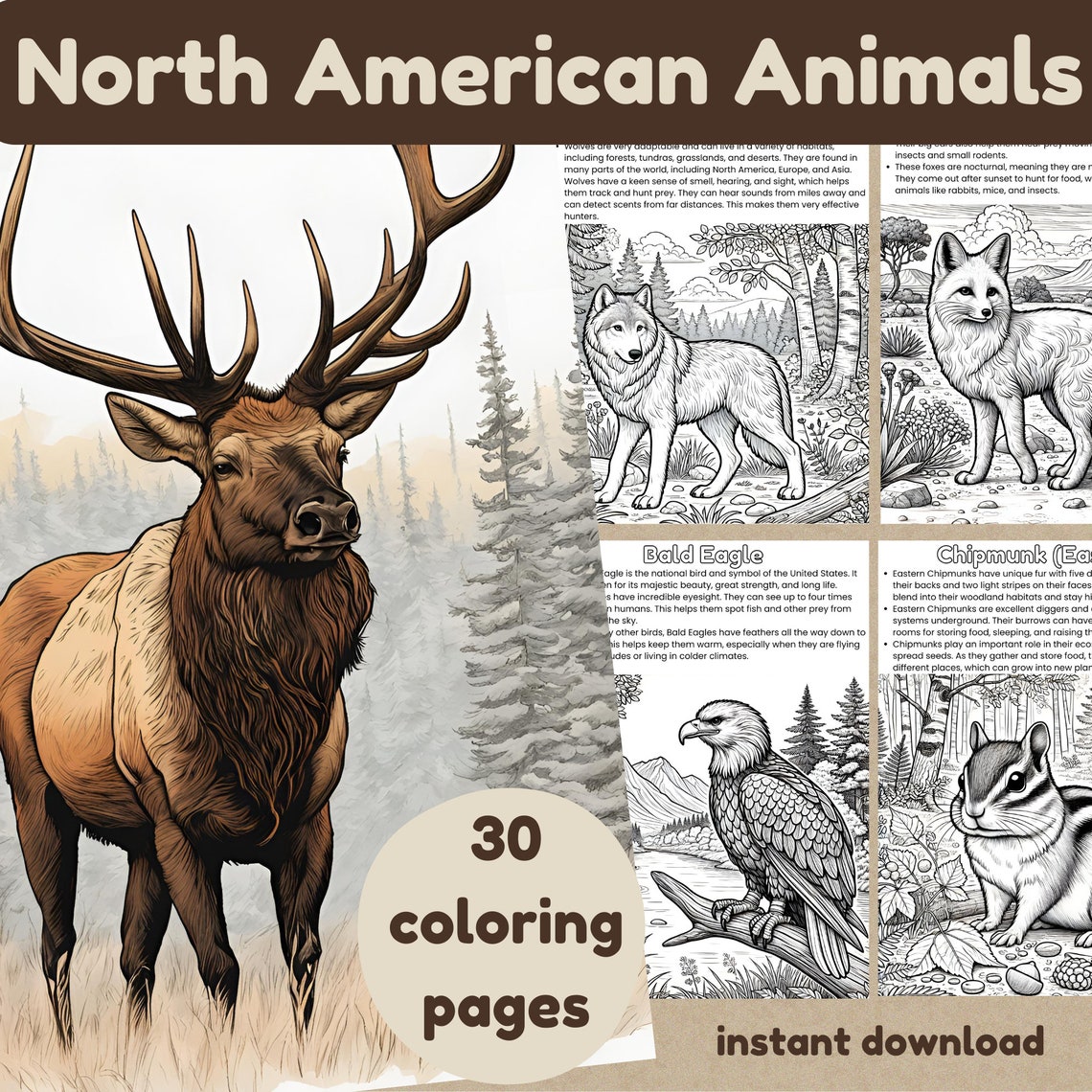 Coloring Book for Kids, North American Animals Printable Coloring Pages ...
