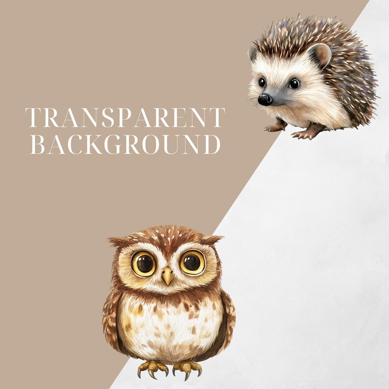 Woodland Clipart | Png Transparent Background | Commercial Use Svg ...