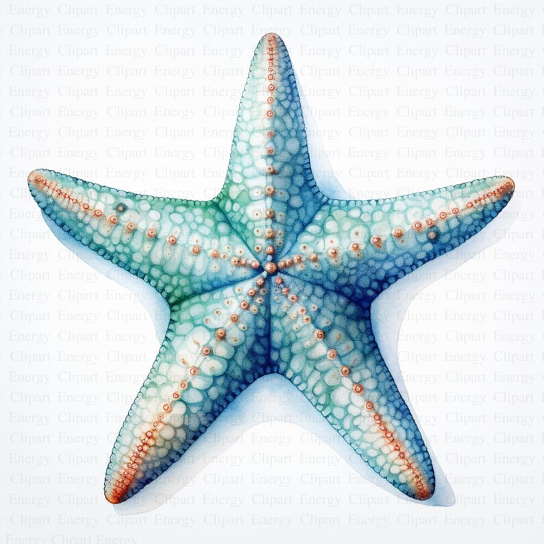 Watercolor Starfish Clipart | 5 High Quality Jpg's | Digital Download ...