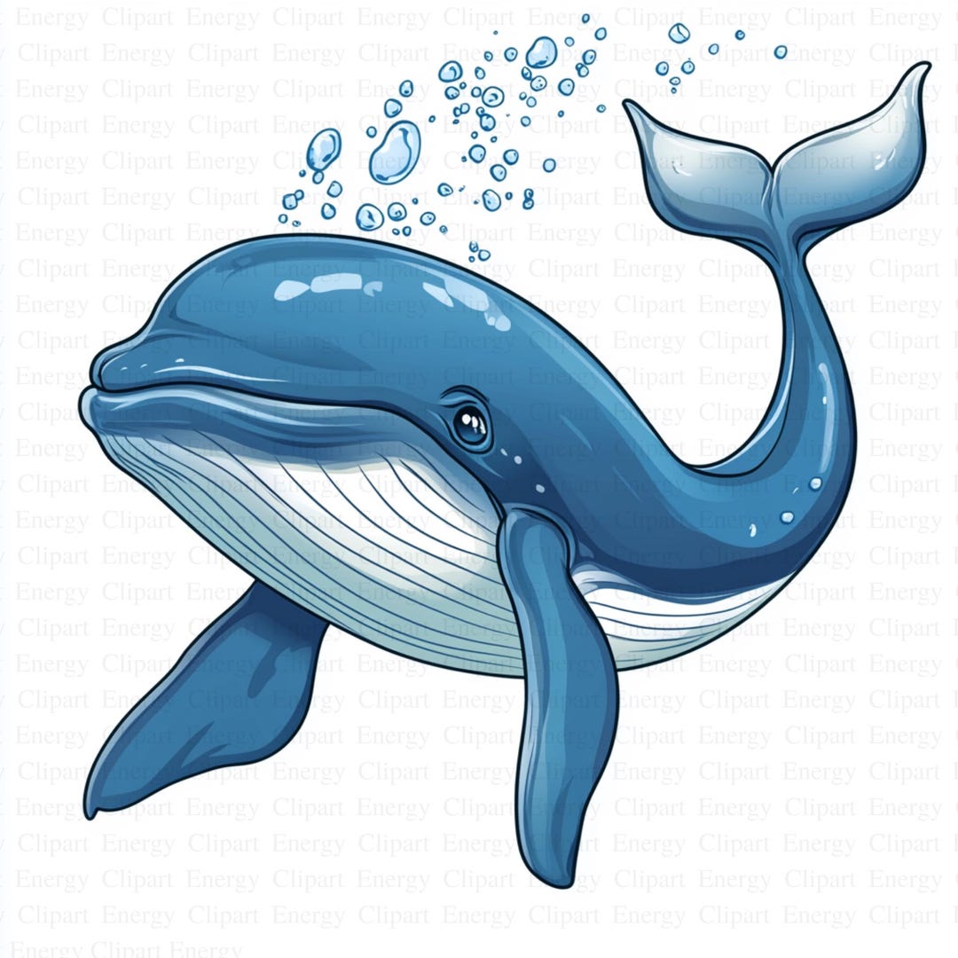 Whale Clipart | 5 High Quality Jpg's | Digital Download | Ocean Animals ...