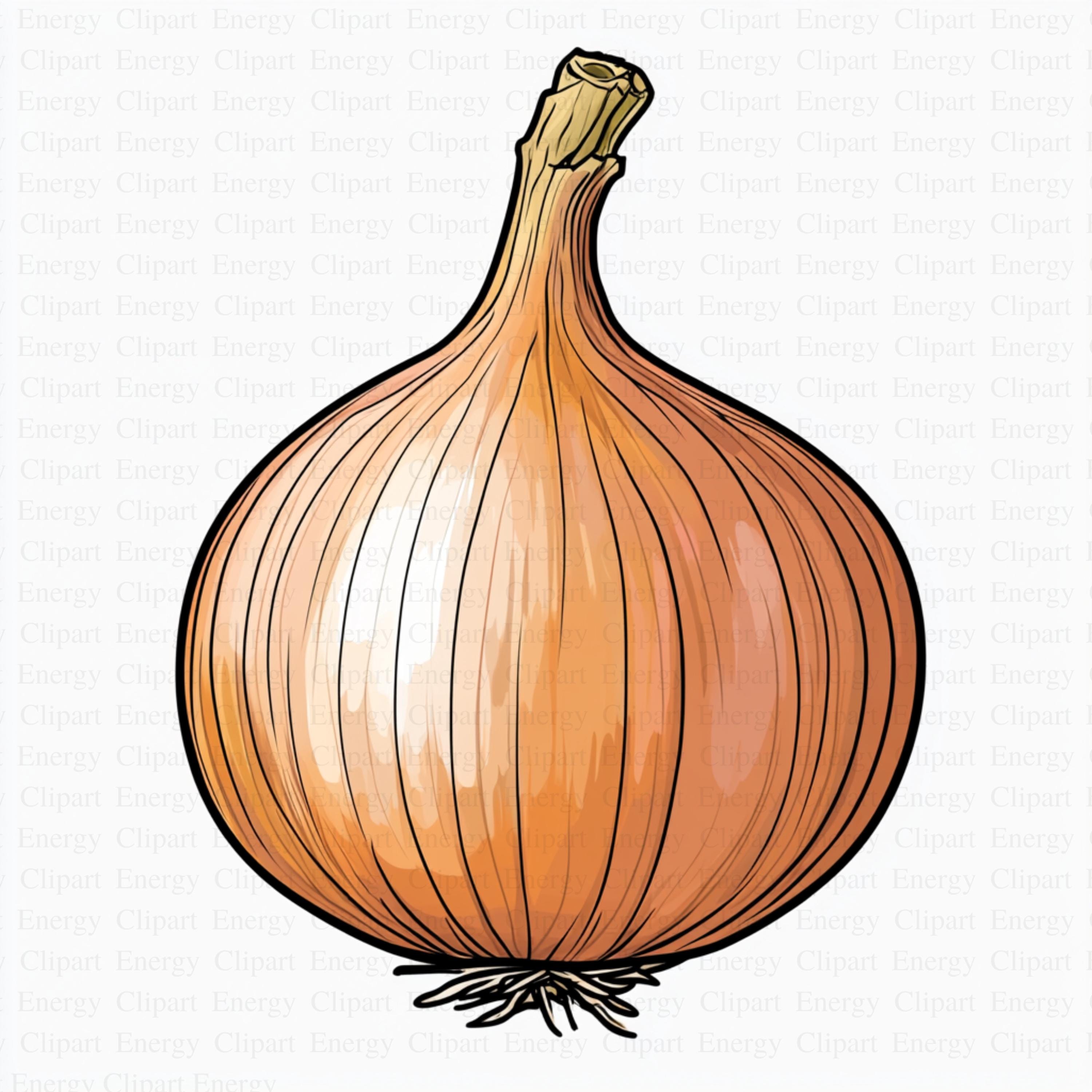 Cute Onion Clipart | 5 High Quality Jpg's | Digital Download | Onion ...