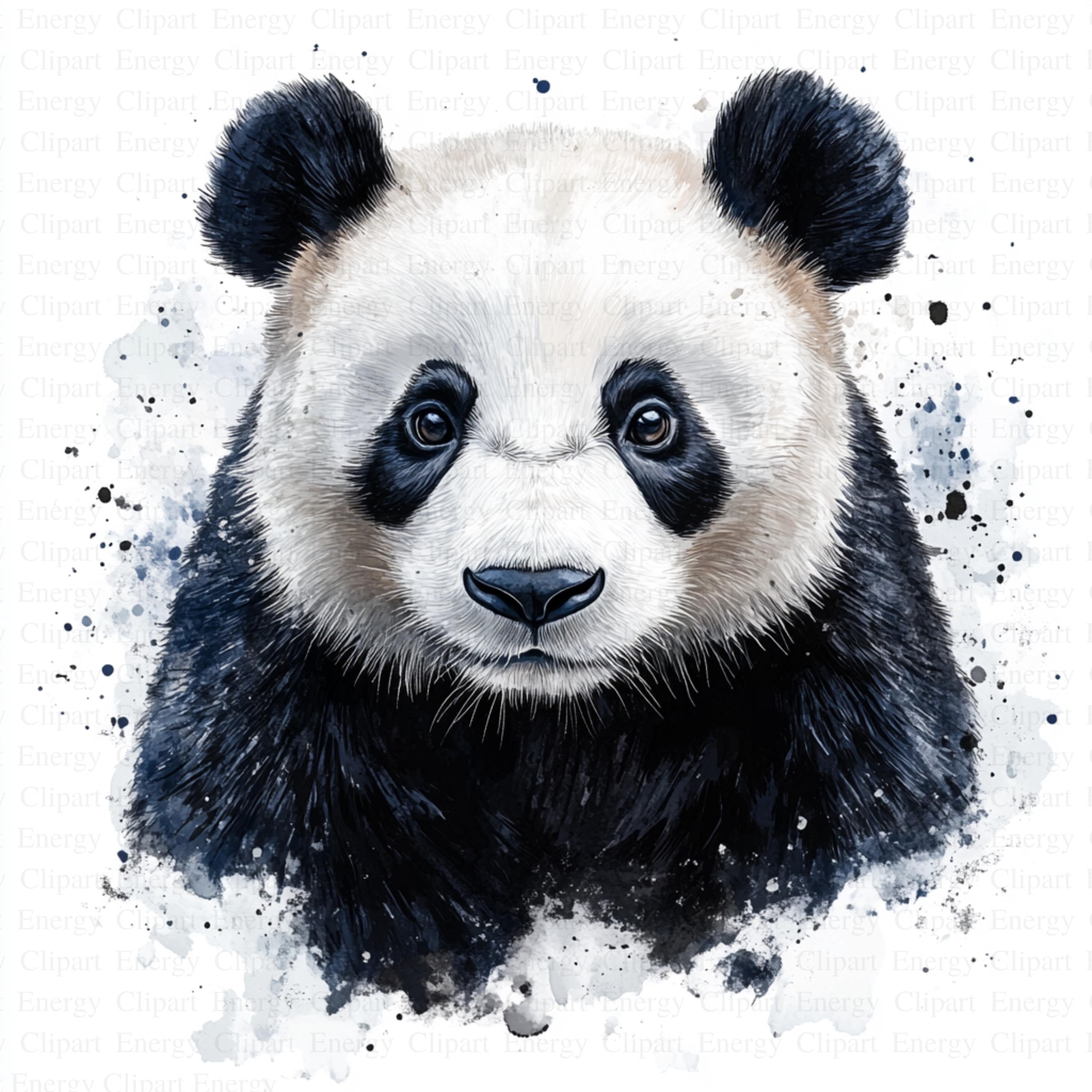 Panda Clipart | 5 High Quality Jpg's | Digital Download | Animal ...