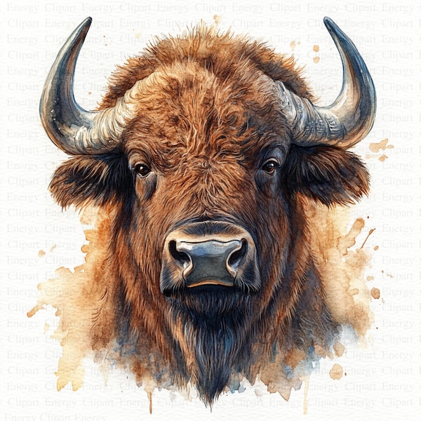 Buffalo Clipart - Etsy
