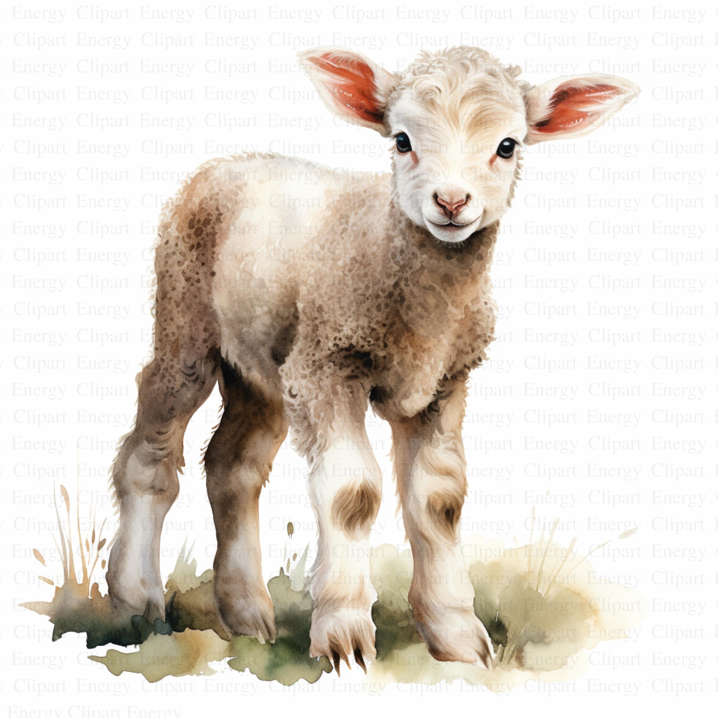 Watercolor Lamb Clipart | 5 High Quality Jpg's | Digital Download ...