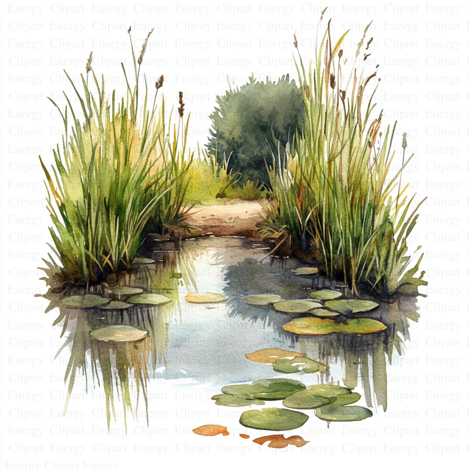 Watercolor Pond Clipart 5 High Quality Jpg's Digital Download Tranquil ...