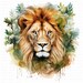 Lion Clipart | 5 High Quality Jpg's | Digital Download | Wild Animal ...