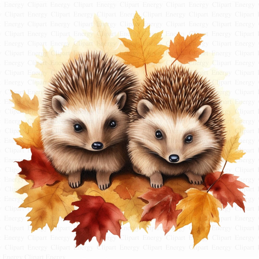 Hedgehogs in Autumn Leaves Clipart | 5 High Quality Jpg's | Forest ...