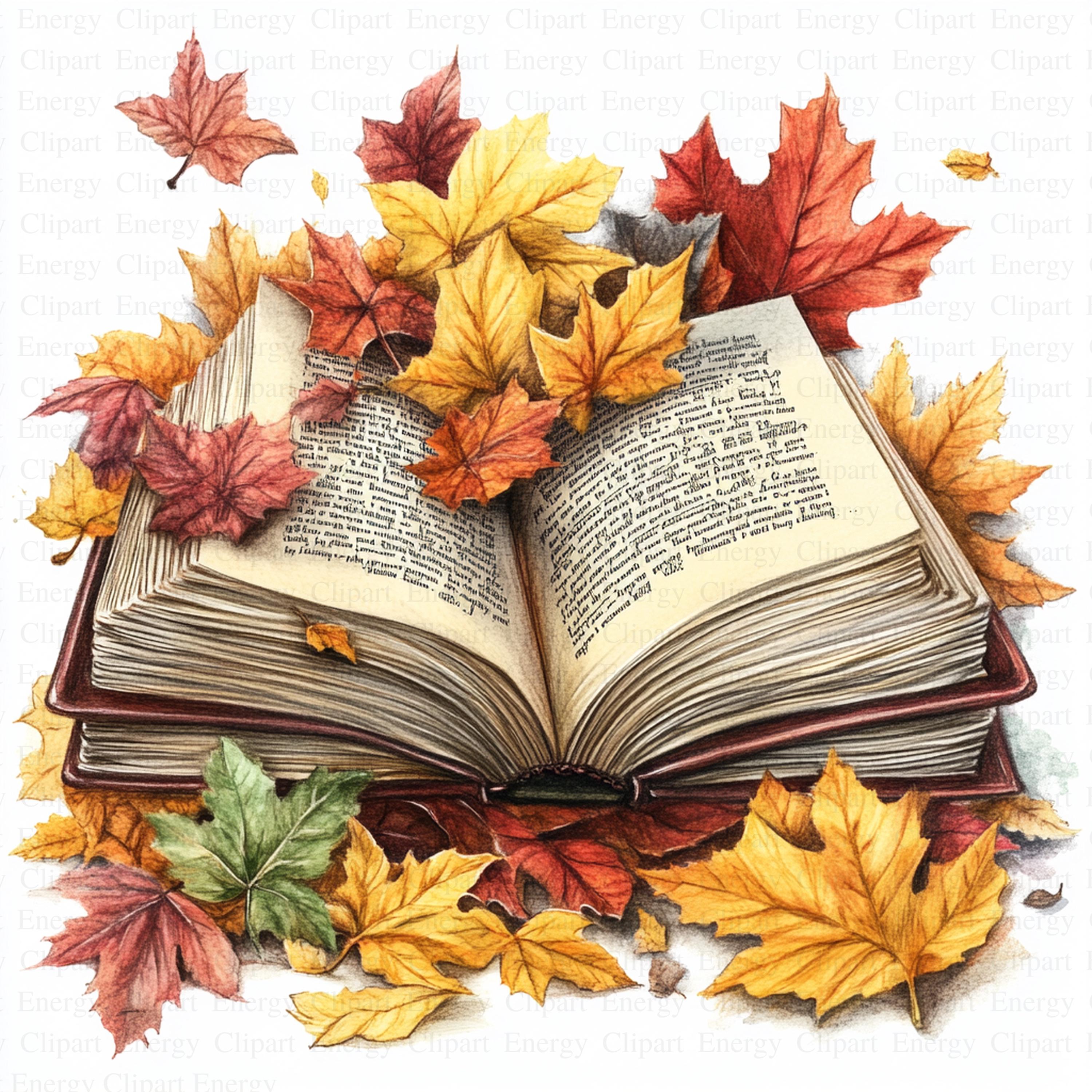 Autumn Book Clipart | 5 High Quality Jpg's | Digital Download | Cozy ...