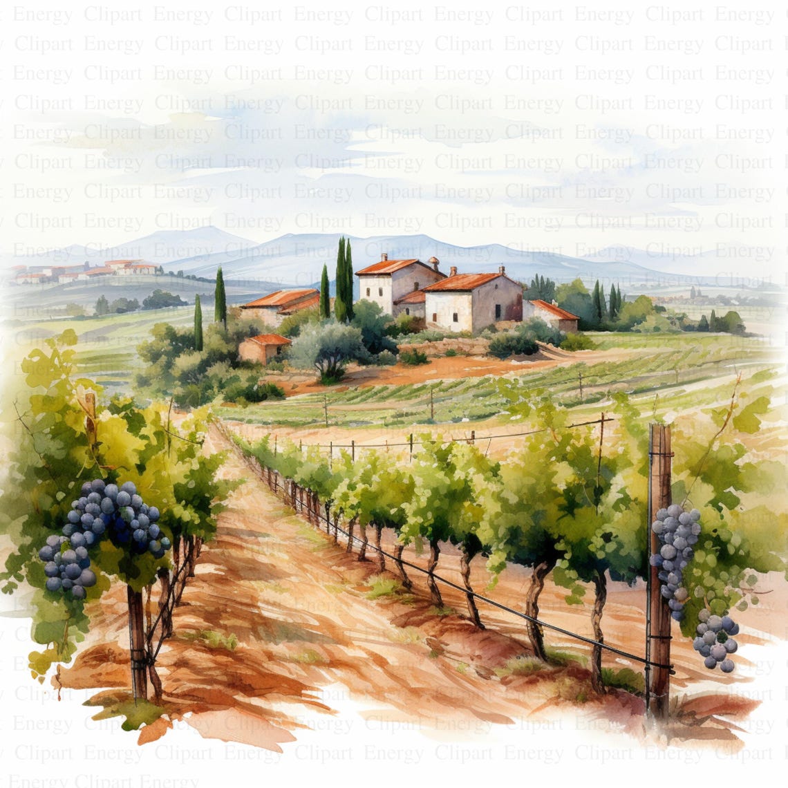 Vineyard Clipart | 5 High Quality Jpg's | Digital Download | Rustic ...