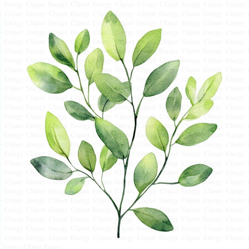 Watercolor Foliage Clipart | 5 High Quality Jpg's | Digital Download ...