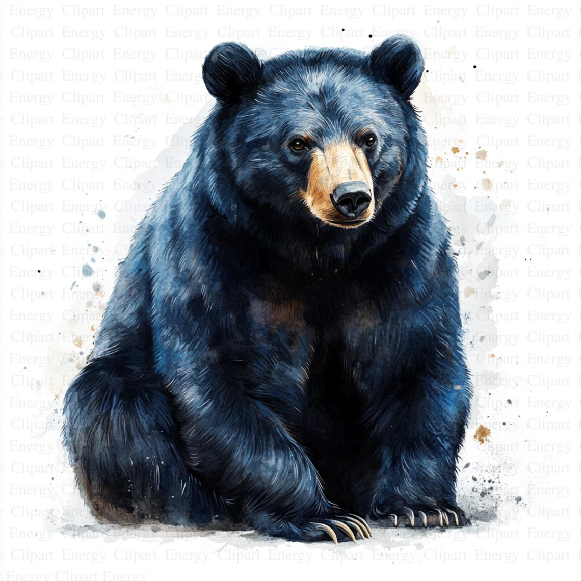 Watercolor Black Bear Clipart | 5 High Quality Jpgs | Digital Download ...
