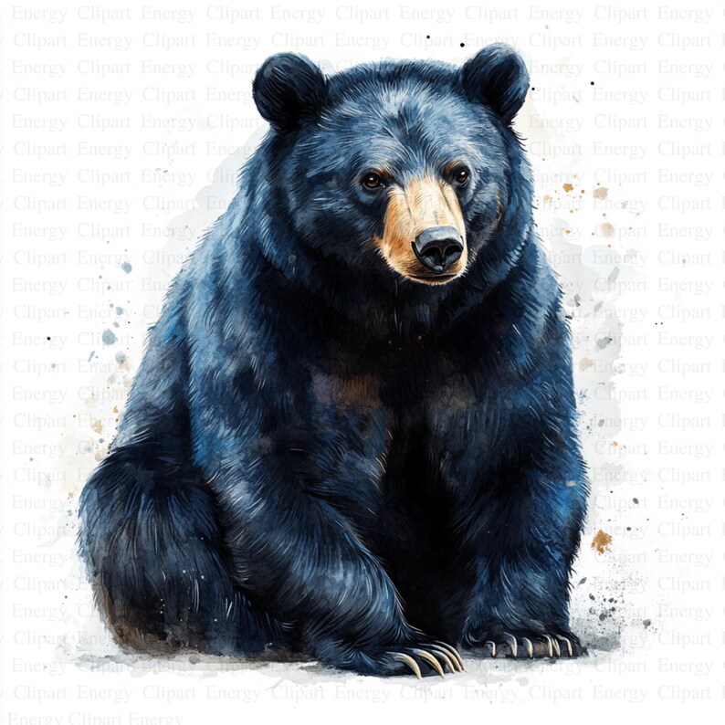 Watercolor Black Bear Clipart | 5 High Quality Jpgs | Digital Download ...
