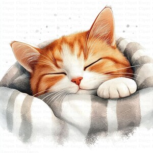 Sleeping Cat Clipart | 5 High Quality Jpgs | Digital Download | Cozy ...