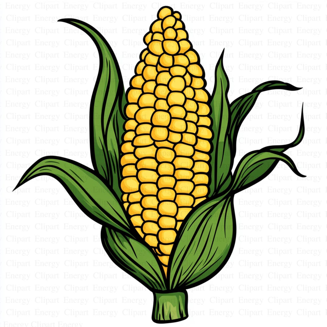 Corn Clipart | 5 High Quality Jpg's | Digital Download | Corn Graphics ...