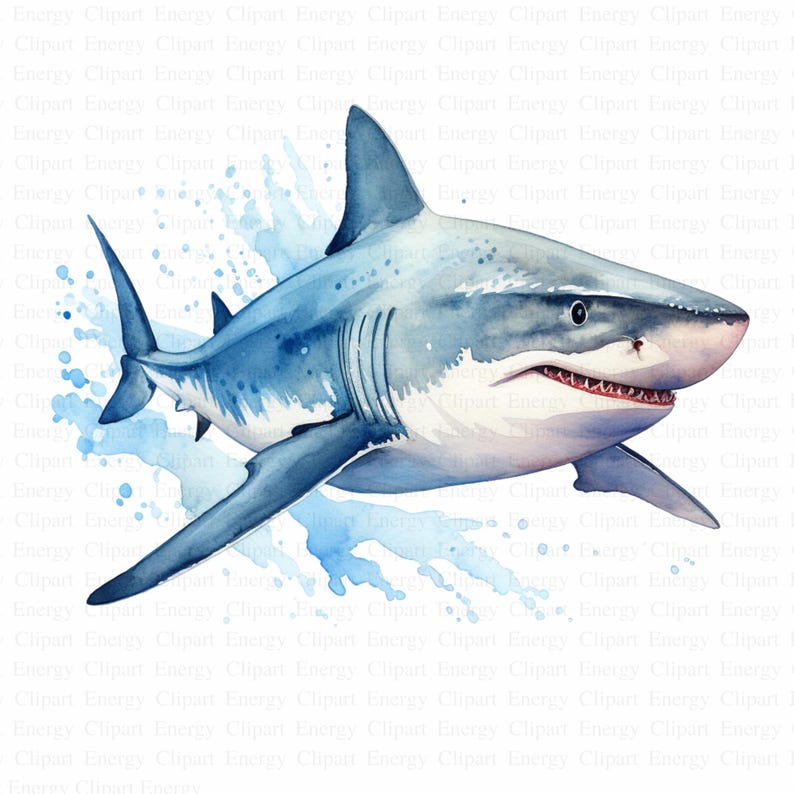 Shark Clipart | 5 High Quality Jpg's | Ocean Life Art | Shark ...