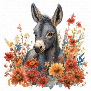 Floral Donkeys Clipart 5 High Quality Jpg's Digital Download Farm ...